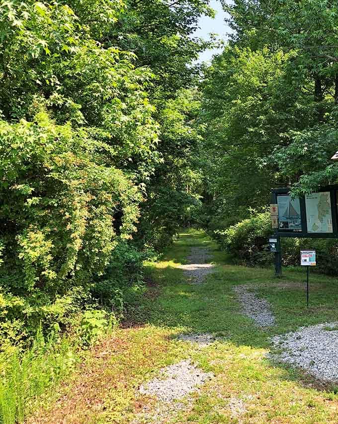 Shaded trails wind through forests so peaceful you'll hear your own thoughts for once.