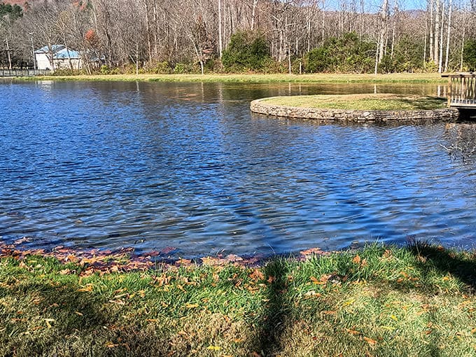 Fishery Park's serene pond reflects the surrounding trees like a mirror. Nature's version of a town square where conversations happen at whisper volume.