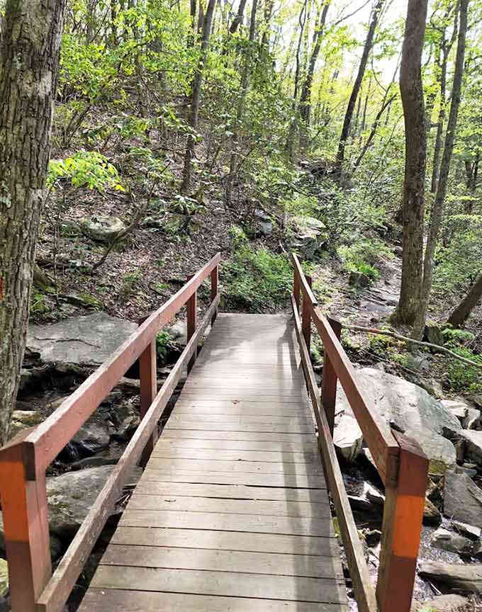 Wooden bridges like this one make you feel like you're in a nature documentary, minus the dramatic narrator.