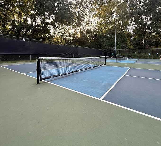 Pickleball courts bring America's fastest-growing sport to Freedom Park, where friendly competition thrives under the Carolina sky.