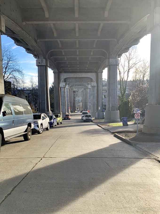 The Aurora Bridge towers overhead, providing the perfect roof for Seattle's most unusual and beloved concrete tenant.