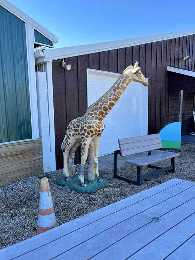 A life-size giraffe greets visitors outside, because every great bookstore needs a whimsical touch of unexpected charm.
