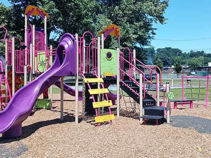 Springdale Park's playground equipment stands ready for the next generation of neighborhood adventures.