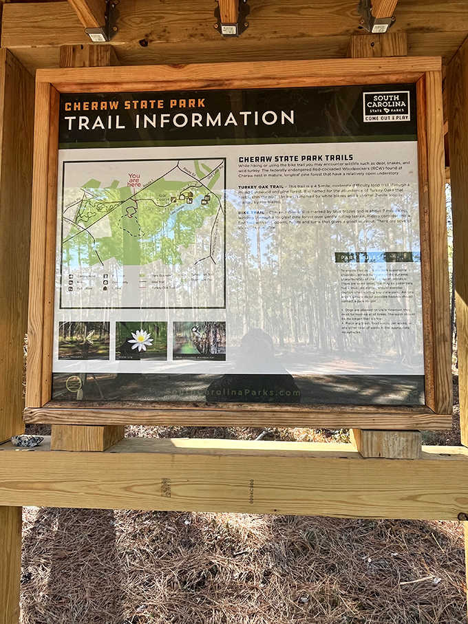 The trail information board&mdash;where ambitious hikers plan eight-mile adventures and realistic hikers decide which quarter-mile loop ends closest to the snack bar.