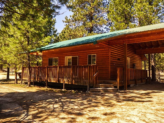 This rustic cabin among the pines offers the quintessential Idaho getaway&mdash;where silence is only broken by wind through the trees.