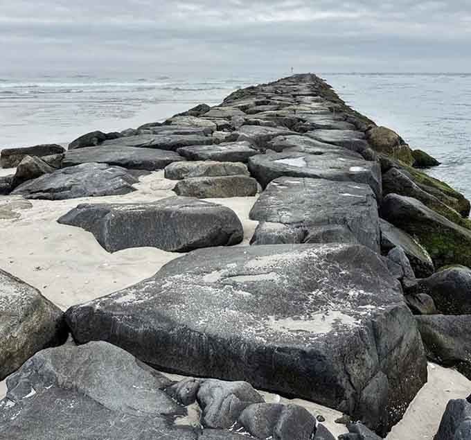 Jetties stretching into the ocean where fishermen and seabirds compete for the best spots.