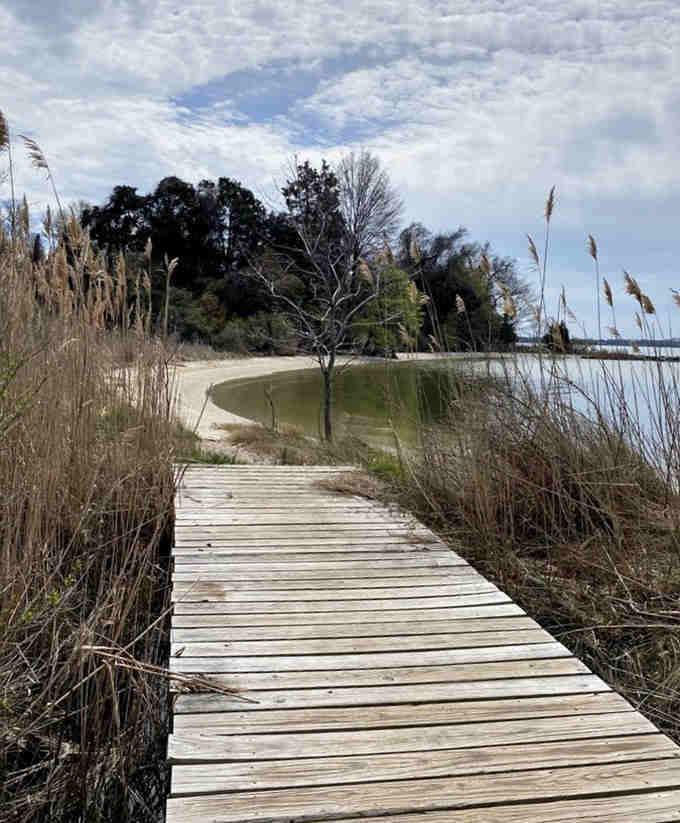 A boardwalk through marsh grasses leading to sandy shores, where nature and history blend seamlessly into one experience.
