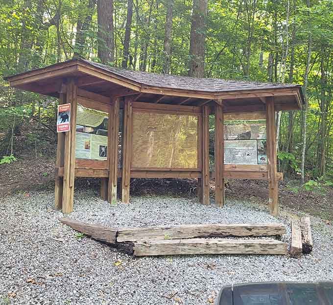 Trail information kiosks provide the details you need before venturing into wilderness where cell service becomes a distant memory.