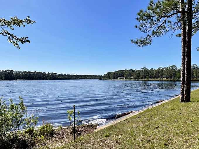 Laura S. Walker State Park's serene waters reflect both sky and savings. Nature's therapy session costs less than a single big-city coffee.