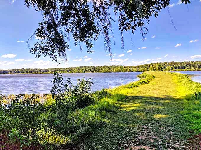 Lafayette Heritage Trail Park offers nature's therapy session along tranquil waters. Spanish moss frames this view like Mother Nature's own Instagram filter.