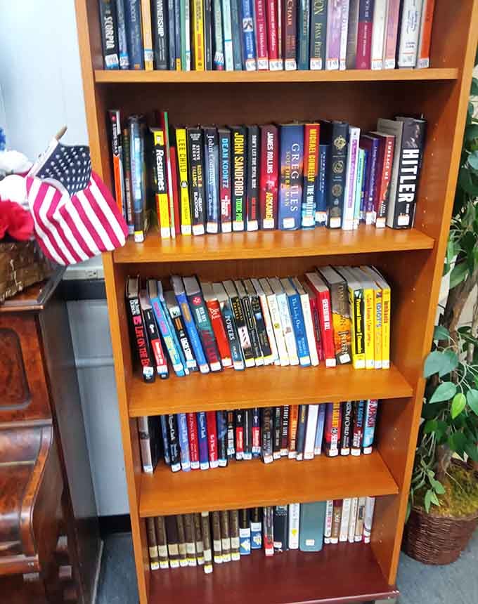 Books lined up on wooden shelves waiting for readers, from thrillers to classics, your next favorite story costs pocket change.