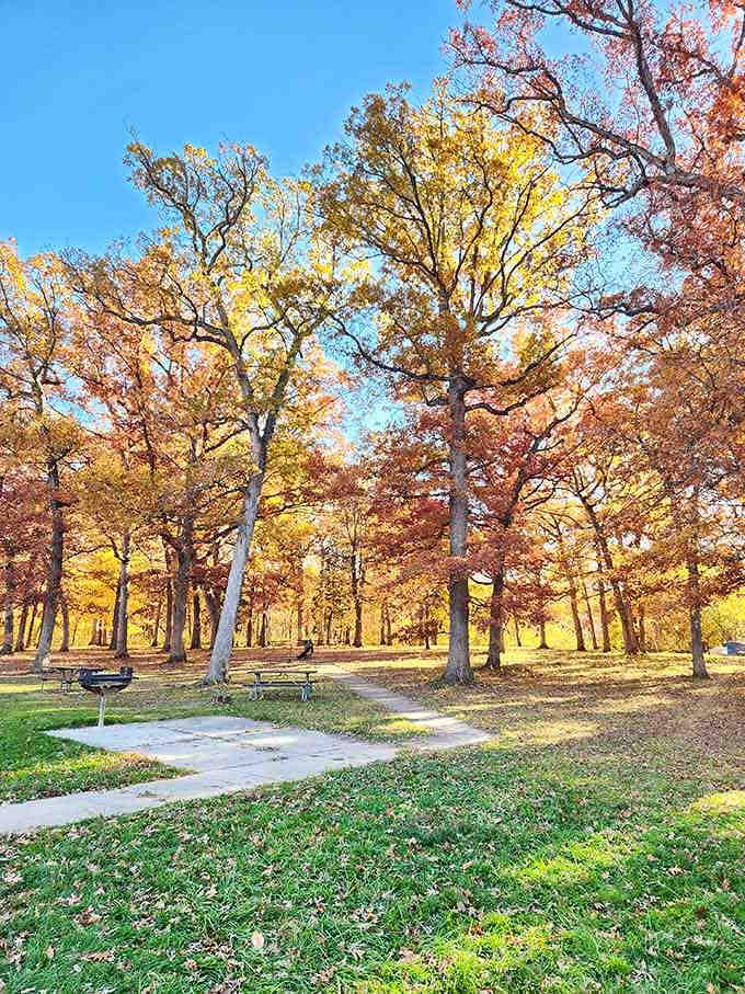 Fall colors frame this picnic spot where your sandwich tastes better simply because of the million-dollar view.