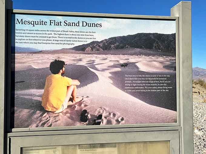 Educational markers share the dunes' fascinating formation story, turning your visit into an outdoor geology lesson that's actually fun.