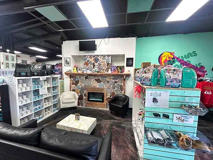 The lounge area combines comfort with function, featuring a fireplace that cats and humans alike can appreciate during cooler months.