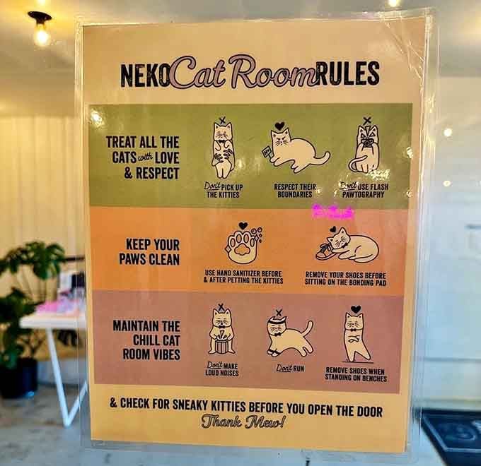 Rules that basically translate to: be cool, respect the cats, and everyone has a good time.