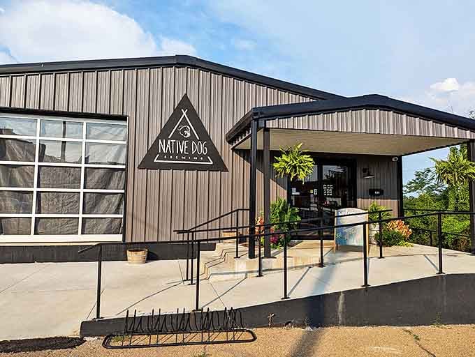 Native Dog Brewing brings craft beer culture to Camden, housed in a modern industrial space that feels both sophisticated and approachable.