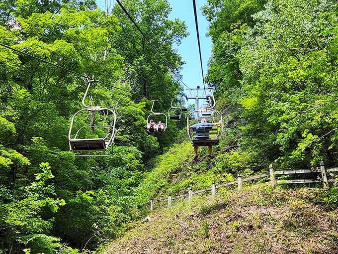 The chairlift descent offers aerial views that transform your understanding of the landscape's dramatic scale.
