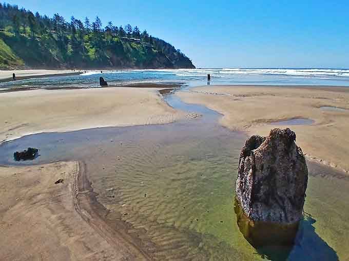 The receding tide reveals nature's time capsule, perfectly preserved and ready for your camera roll.