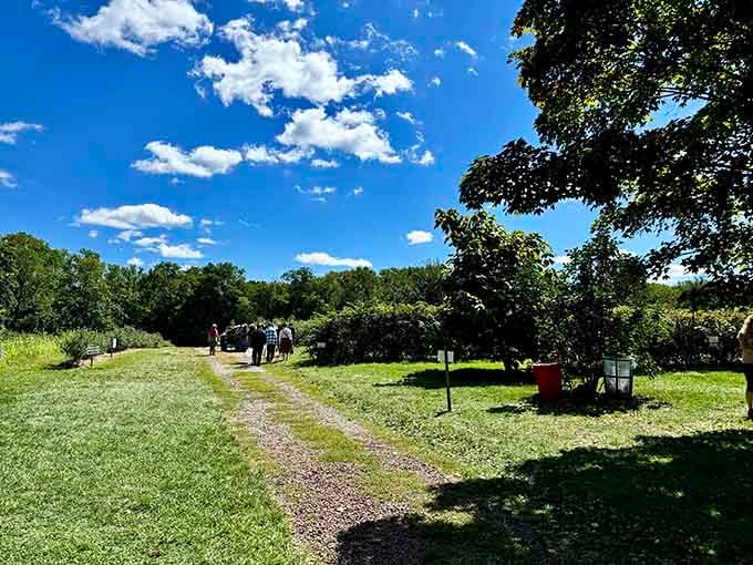 Open fields and blue skies stretch endlessly, offering the kind of pastoral views that make city dwellers reconsider everything.
