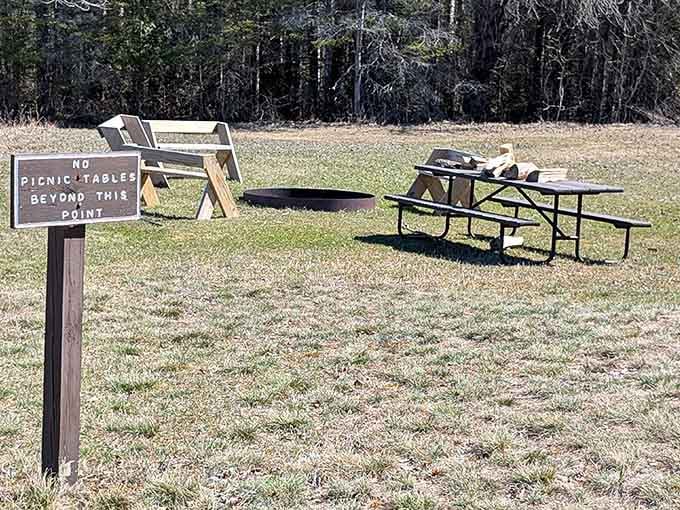 Sometimes the best picnic spot is the one that makes you work a little for it.