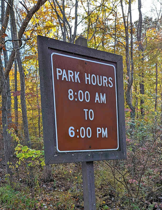Park hours posted with the authority of a parent setting curfew. Nature may be wild and free, but even wilderness needs some boundaries.