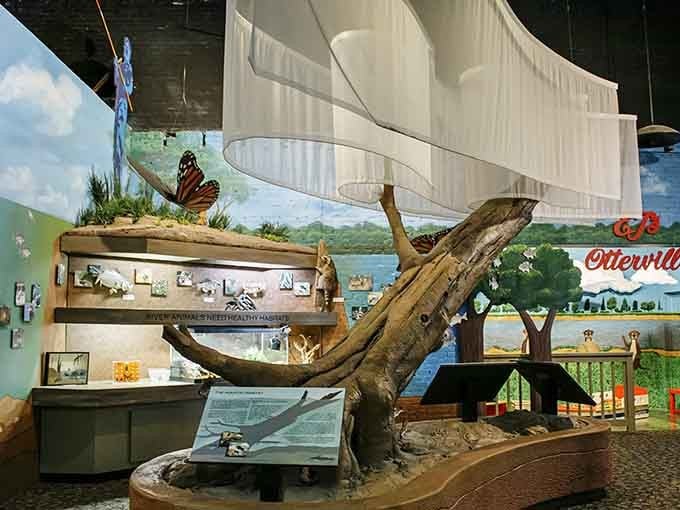 River Discovery Center's creative exhibits celebrate the waterways that shaped this region's history and continuing cultural identity.