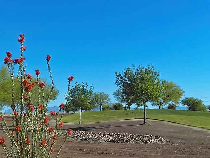 Desert blooms frame this peaceful green space, proving that Florence knows how to create beauty in even the most challenging environments.