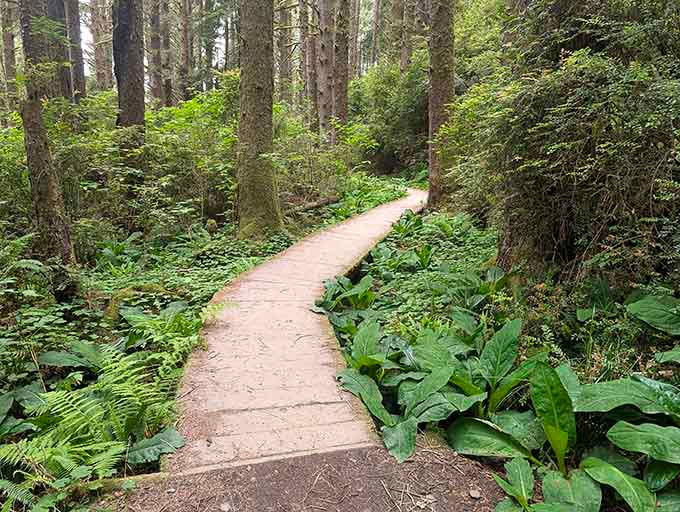 Wooden boardwalks winding through the forest make you feel like you're in a fairytale, minus the witch.