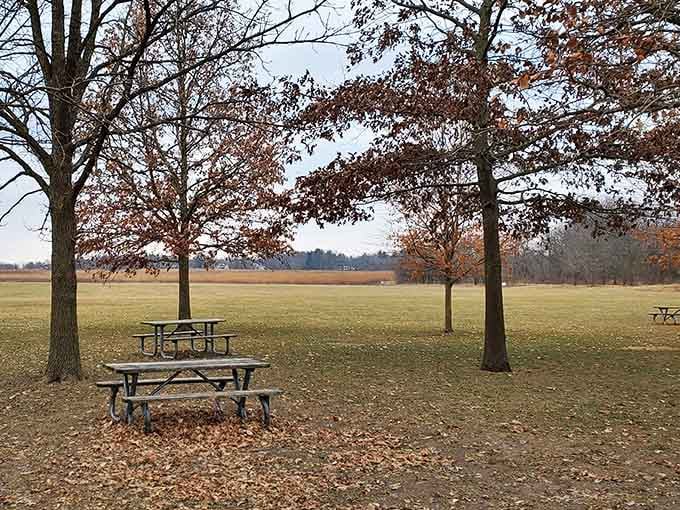 Picnic tables scattered across open prairie, perfect for post-play snacks and watching clouds drift across endless Illinois skies.