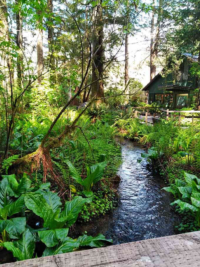 A peaceful creek flows past the gift shop, blending natural Oregon beauty with roadside attraction magic.