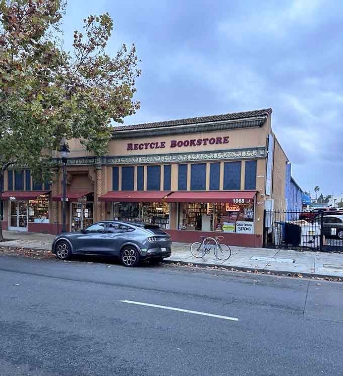 The exterior looks even better at dusk, when the bookstore glows like a beacon for everyone who loves actual pages.