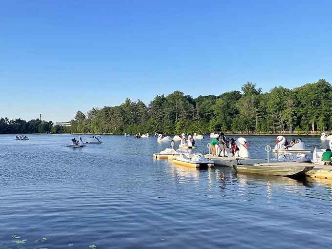 Peaceful lake waters invite families to extend their visit beyond the playground with relaxing pedal boat adventures.