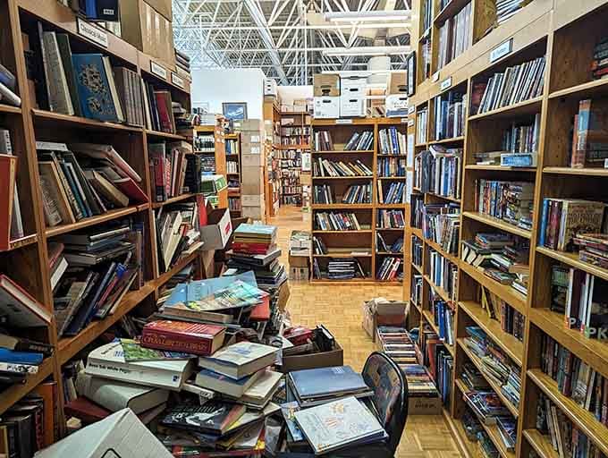 The organized chaos of used books creates a treasure hunt where every discovery feels like winning the lottery.