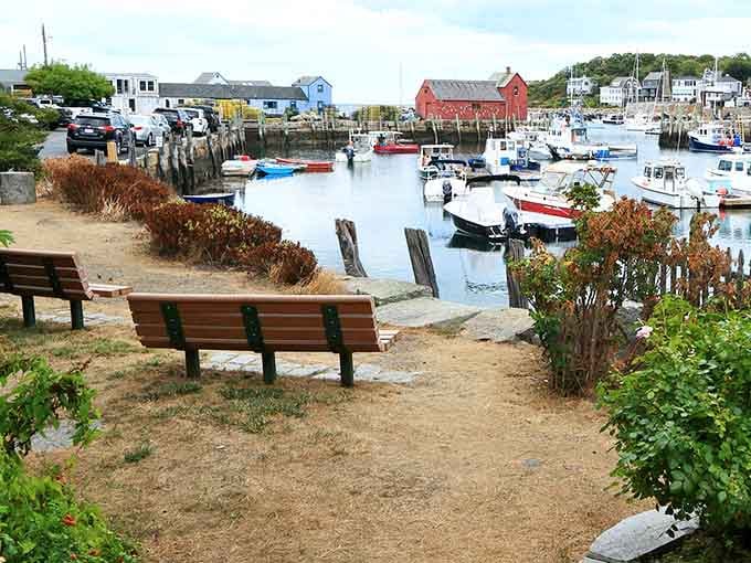 Benches facing the working harbor offer front-row seats to maritime life that never gets old.