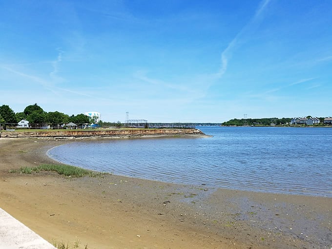 Collins Cove Beach provides sandy shores perfect for contemplating life's mysteries or just getting your feet wet.