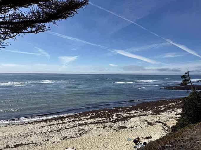 The beach beckons below while cypress trees stand guard above, creating that perfect California combination of forest and shore.
