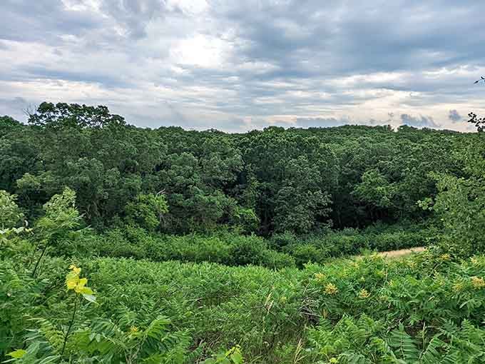 Summer greenery blankets the hills in shades that remind you why they call this the Land of 10,000 Lakes.