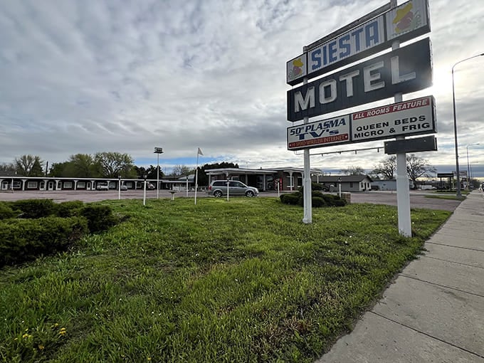 The Siesta Motel stands as a monument to road trips past, when vacation meant seeing America through your windshield, one town at a time.