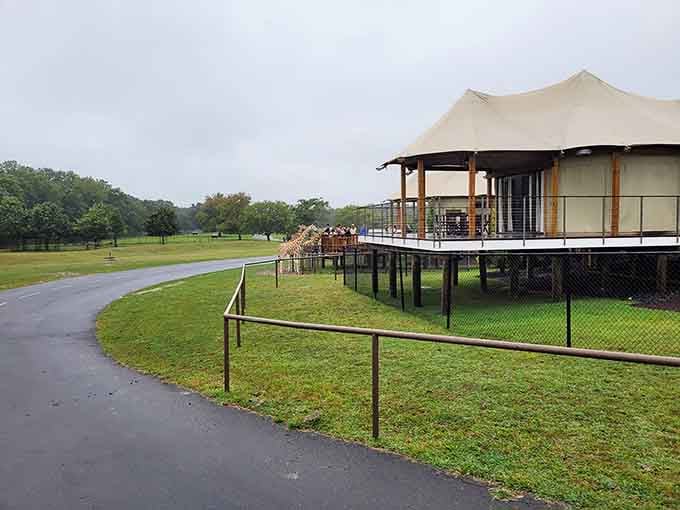 Elevated viewing platforms let you observe the animals from a comfortable vantage point, rain or shine.