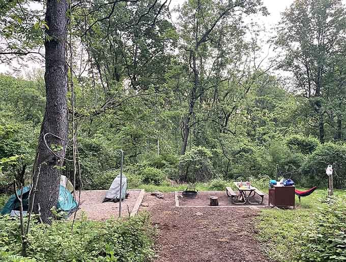 Campsites tucked into the woods where your biggest concern is which star to stargaze at.