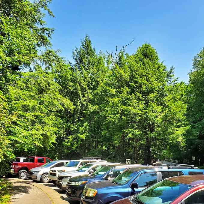 The parking lot fills quickly on summer days as word spreads about this geological gift to fun-seekers.