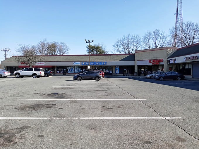 Strip mall architecture gets a pass here because the businesses inside reflect genuine community character and diversity.