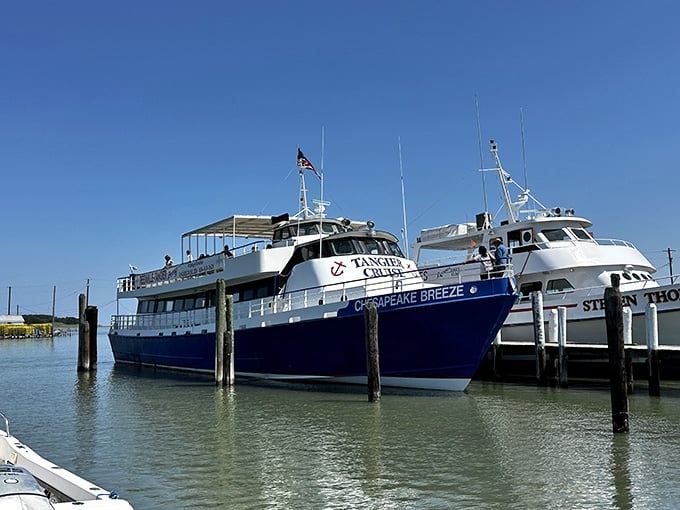 The ferry boats that connect this quirky island to reality, or disconnect you from it, depending on perspective.