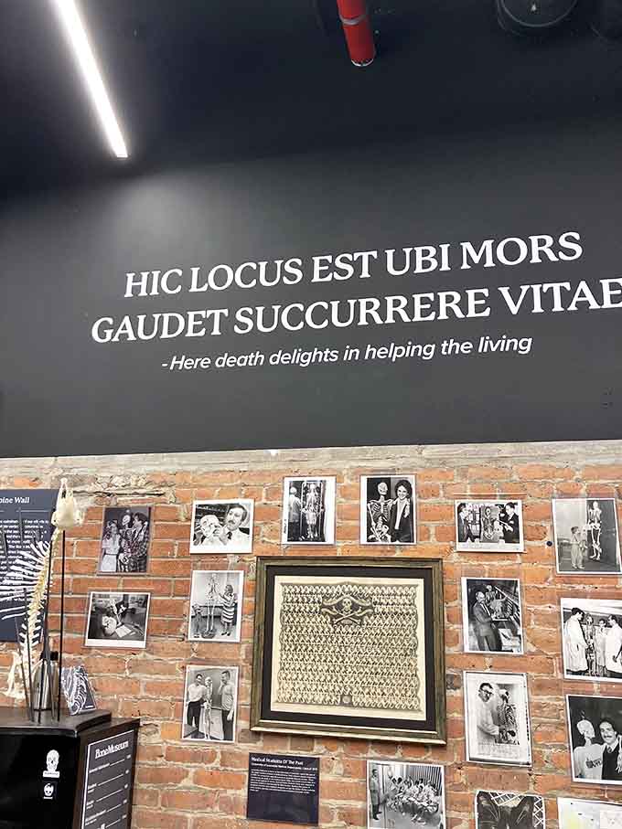 Historical photos and bone displays celebrate the fascinating intersection of mortality, medicine, and cultural practices through the ages.