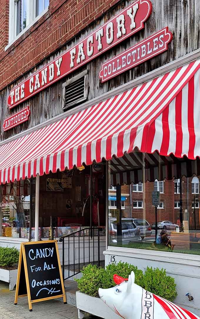 The Candy Factory tempts sweet tooths with old-fashioned treats under a classic striped awning—nostalgia that costs less than a streaming subscription.