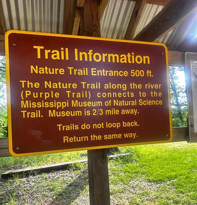 Trail signs keep adventures on track with clear directions. The purple trail connects natural wonders with scientific knowledge—the best of both worlds.