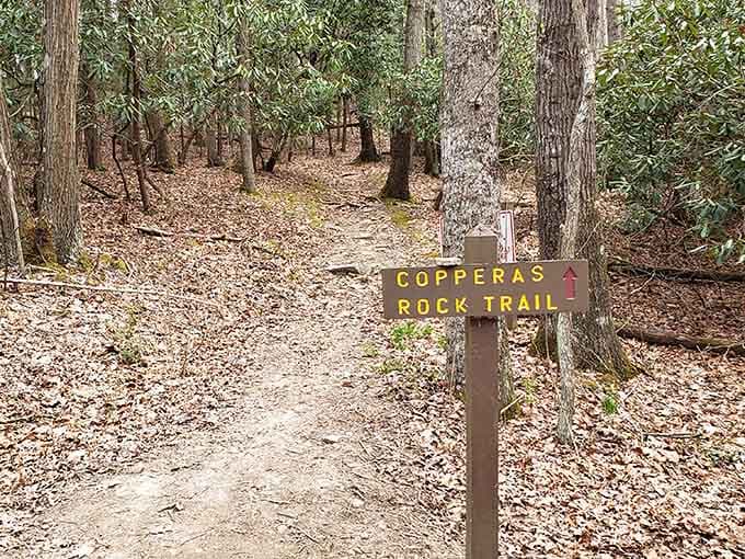 The Copperas Rock Trail beckons explorers toward geological wonders, promising discoveries around every wooded bend ahead.
