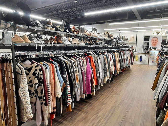 The spacious interior invites leisurely browsing without feeling like you're navigating a cramped obstacle course of regret.