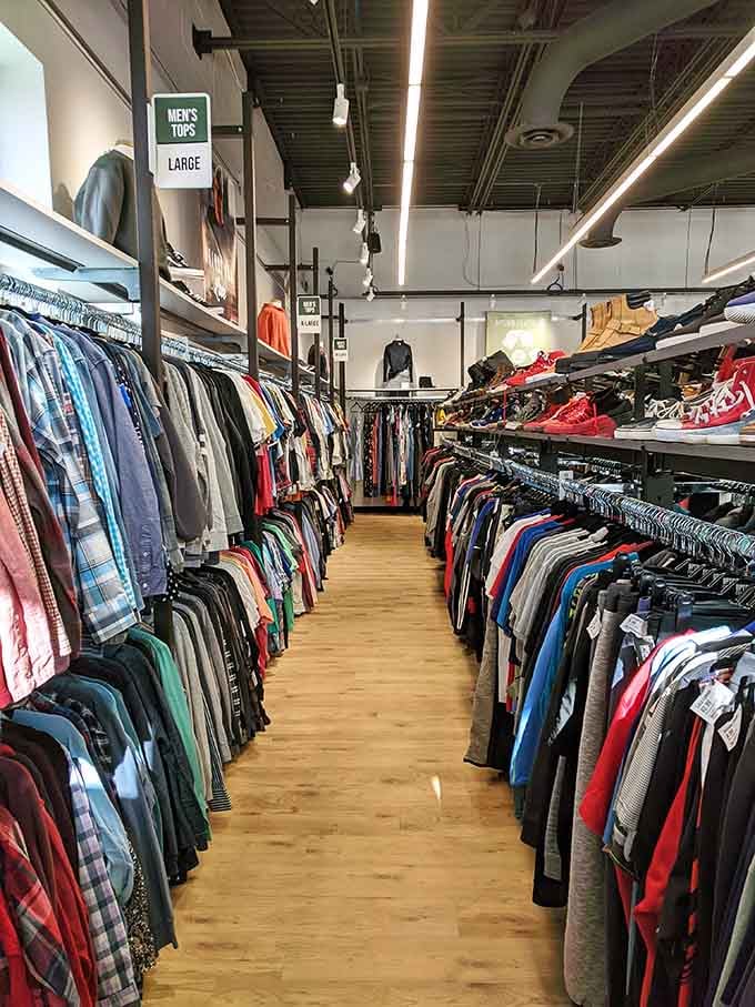 Aisles organized better than most people's lives, making the treasure hunt actually enjoyable instead of exhausting and overwhelming.