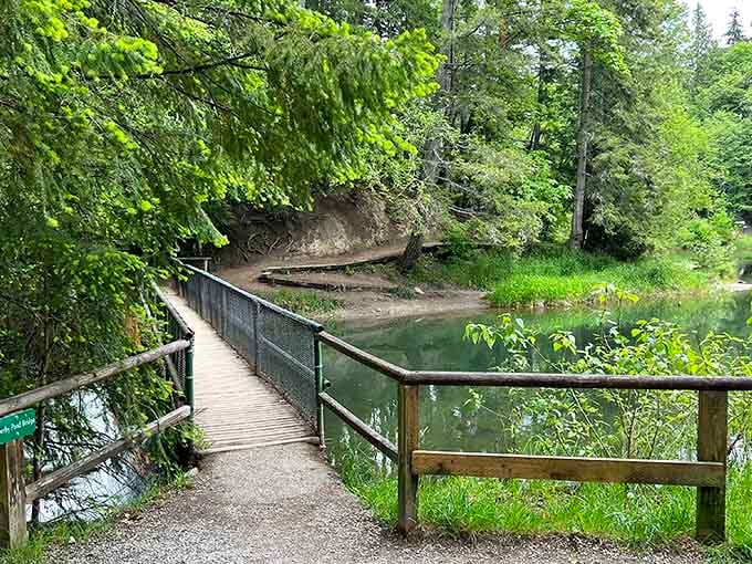 These bridges connect more than just trails; they link you to something bigger than your daily routine.